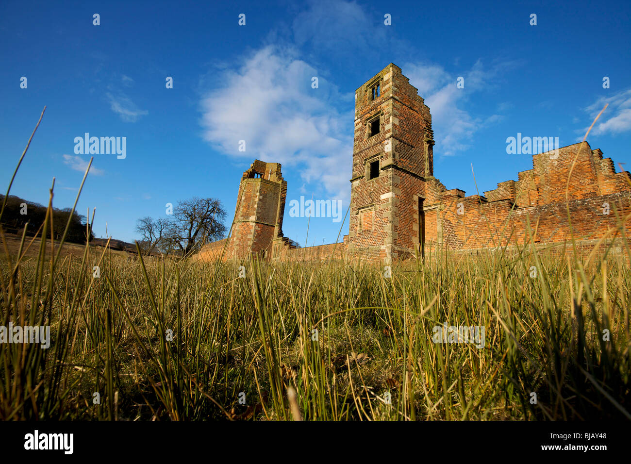 The ruins of Bradgate House in Bradgate Country park near Leicester the ...