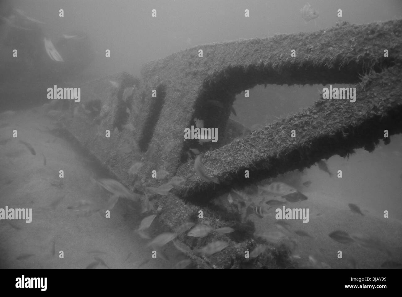 Artificial bridge sunk in Normandy, France Stock Photo - Alamy