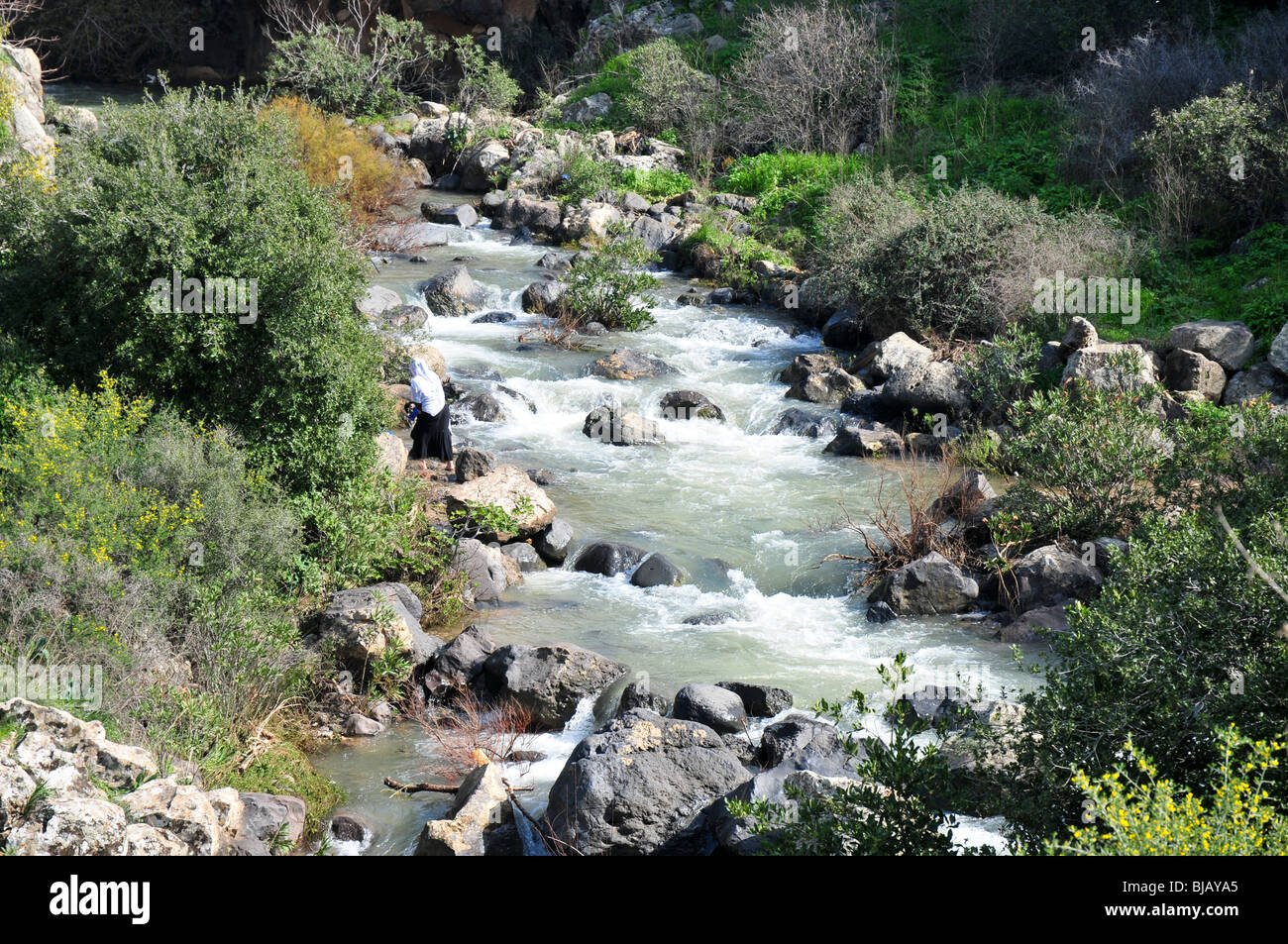 Israel, Golan Heights, Saar stream and waterfall nature reserve Stock ...