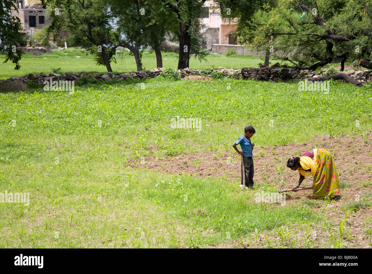 Indian Farmer in Field Stock Photo - Alamy