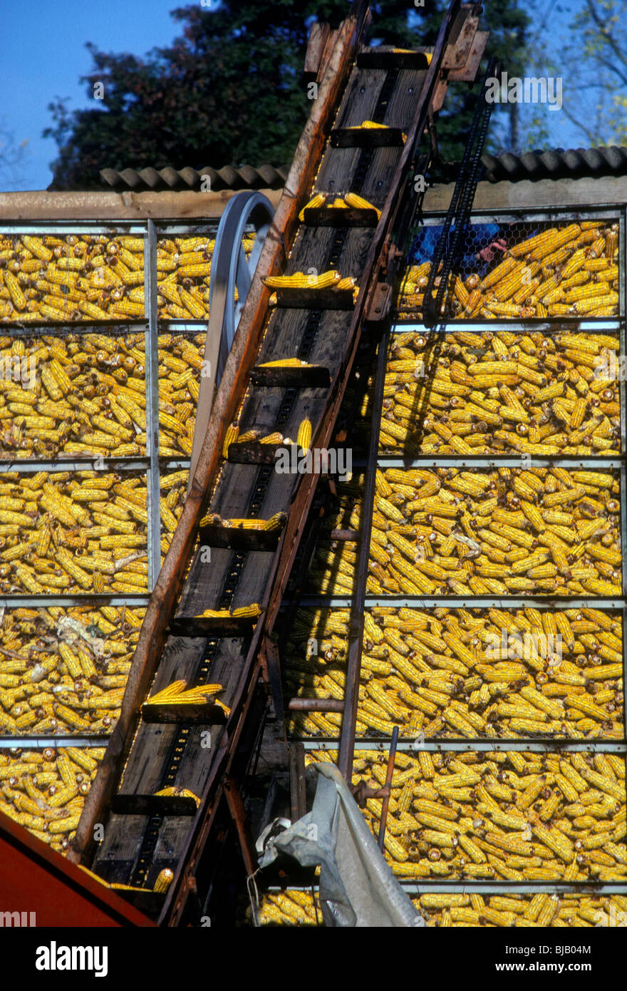 storing corn, storage, French Basque Country, village of Mouguerre ...