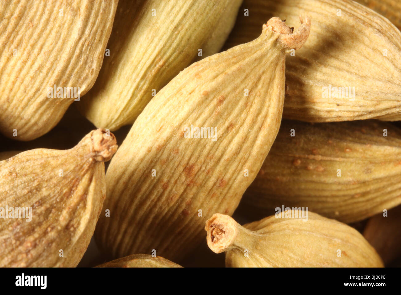 Cardamon seed pod hi-res stock photography and images - Alamy