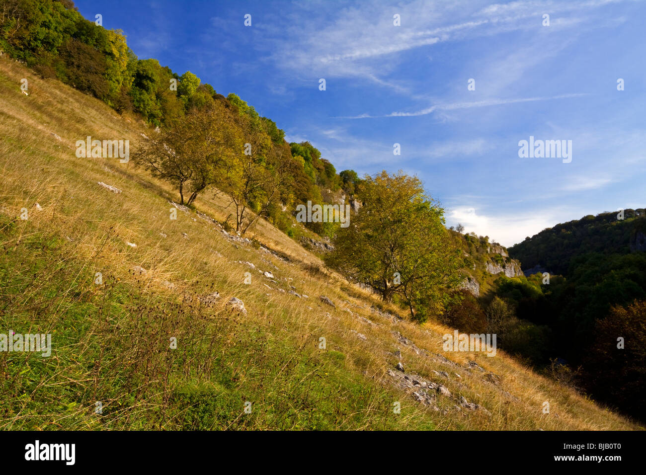 Chee Dale near Bakewell in the Peak District National Park Derbyshire ...