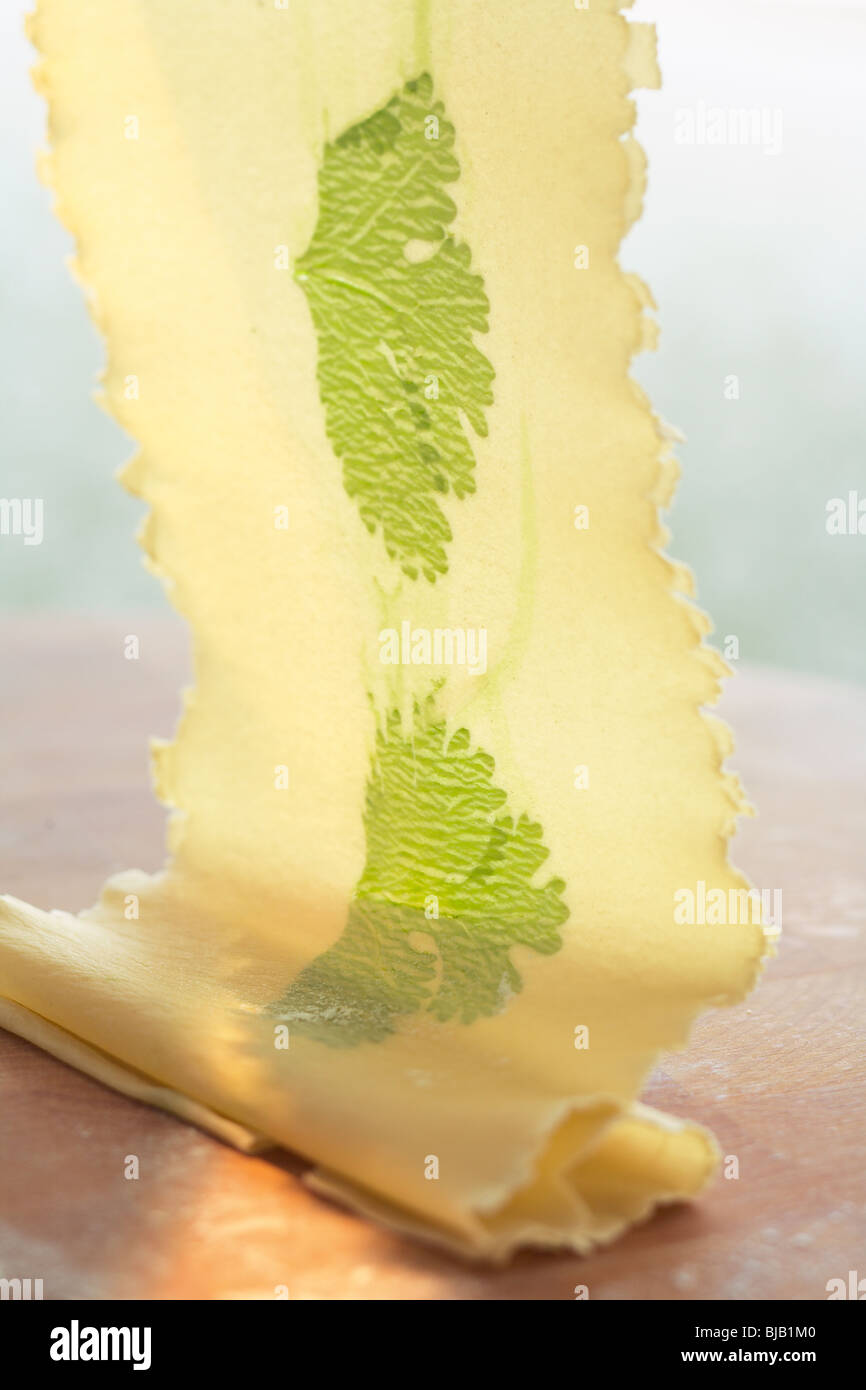 hanging fresh green herb pasta sheets hanging Stock Photo - Alamy