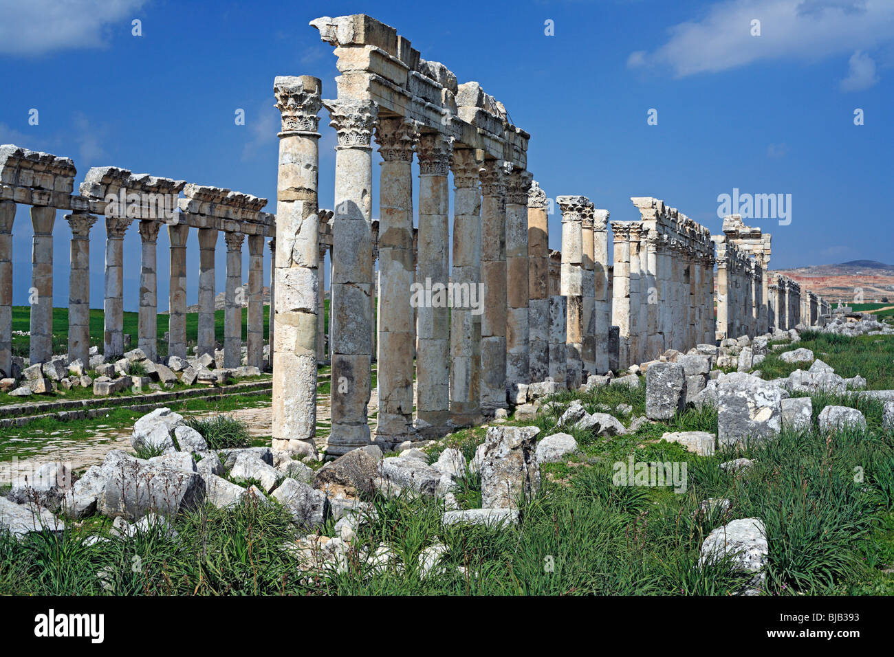 Ancient city Apamea (Apameia, Afamia), Syria Stock Photo - Alamy