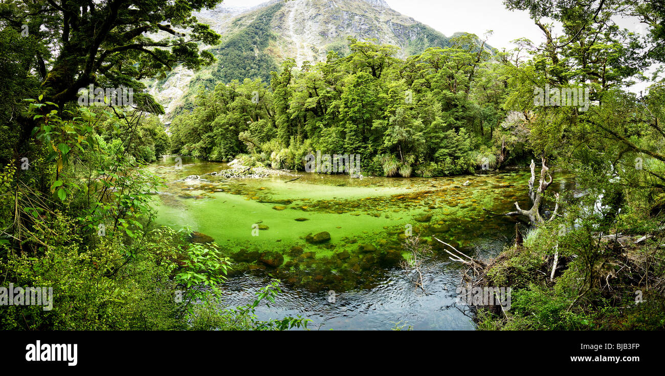 Clinton river new zealand hi-res stock photography and images - Alamy