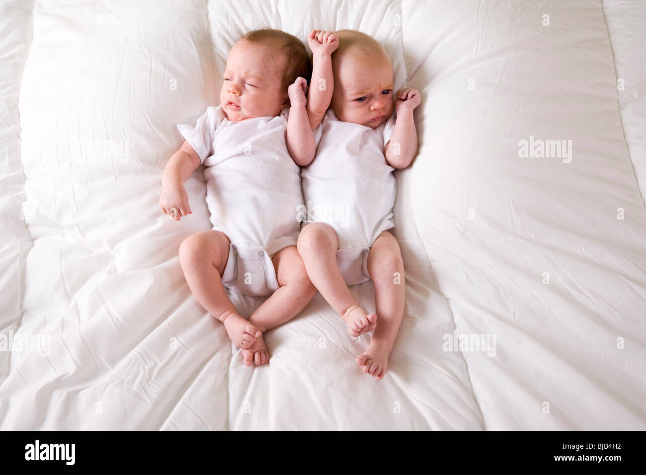 Newborn twin babies lying side by side on soft white blanket Stock ...