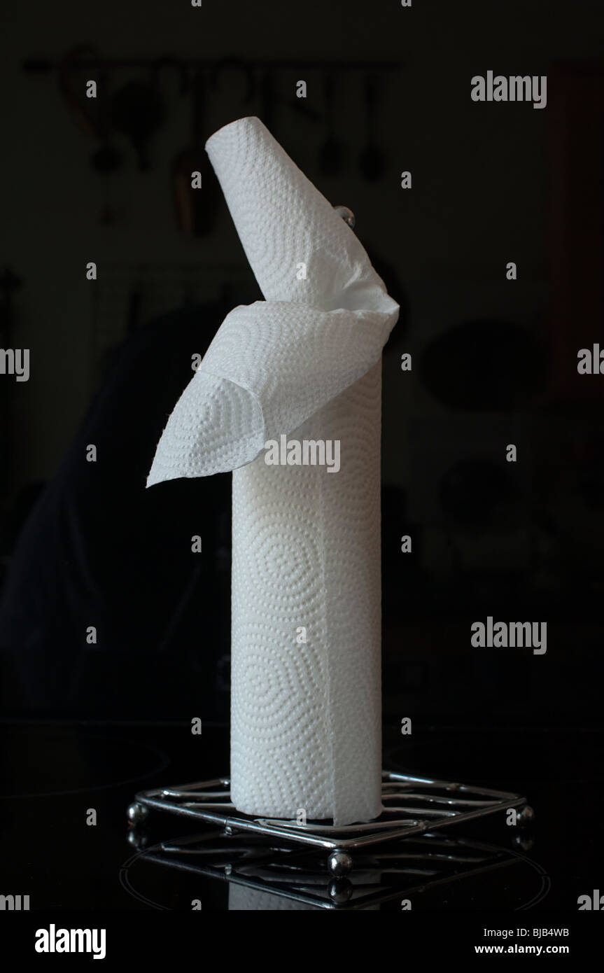 Cleaning kitchen with kitchen roll hi-res stock photography and images ...