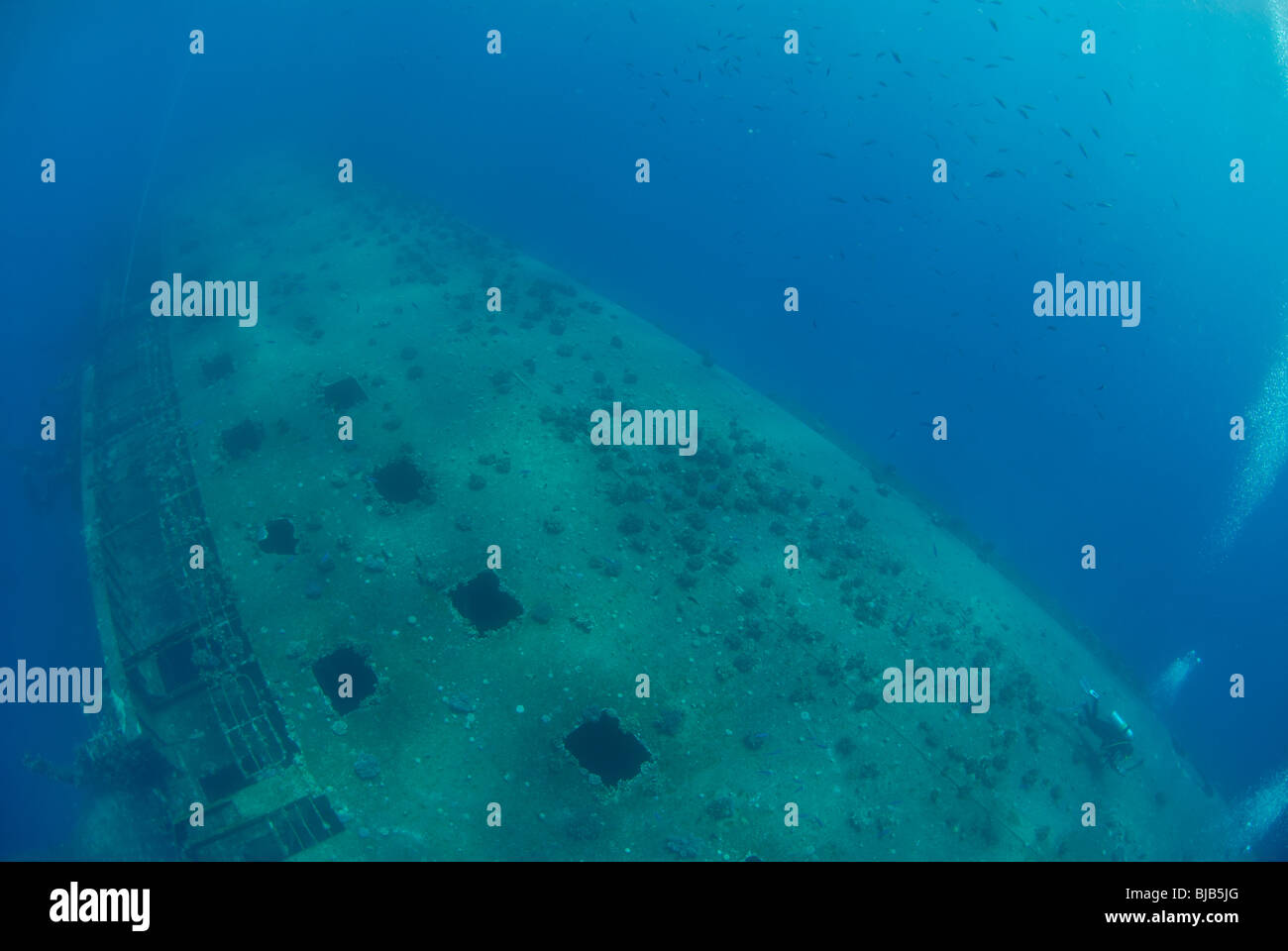 Hull of the Salem Express wreck off Safaga, Red Sea Stock Photo - Alamy