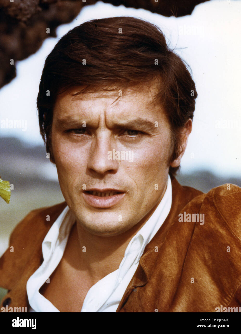 ALAIN DELON French Film Actor About 1970 Stock Photo Alamy