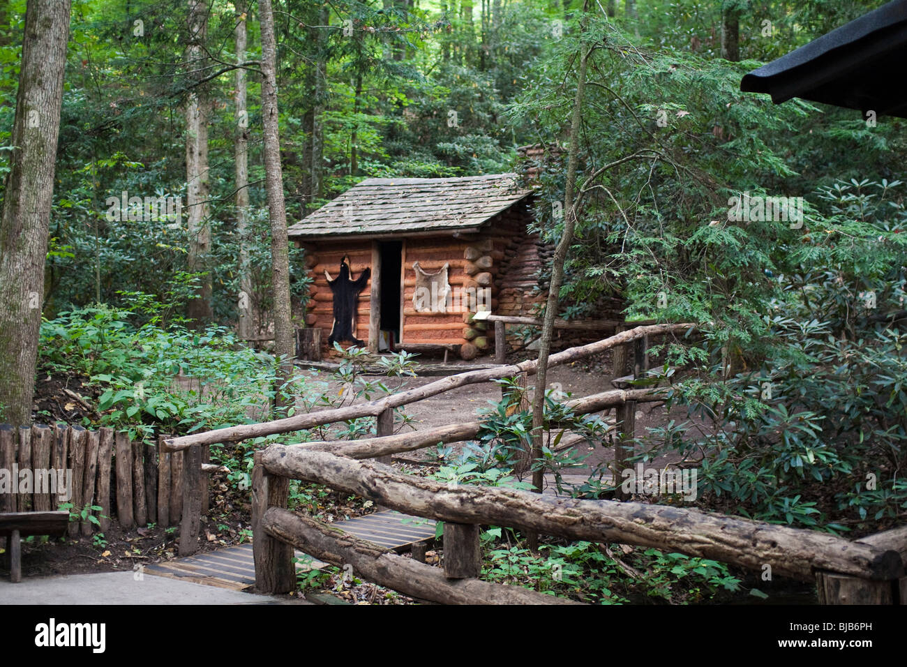 Cherokee indian with animals hi-res stock photography and images - Alamy