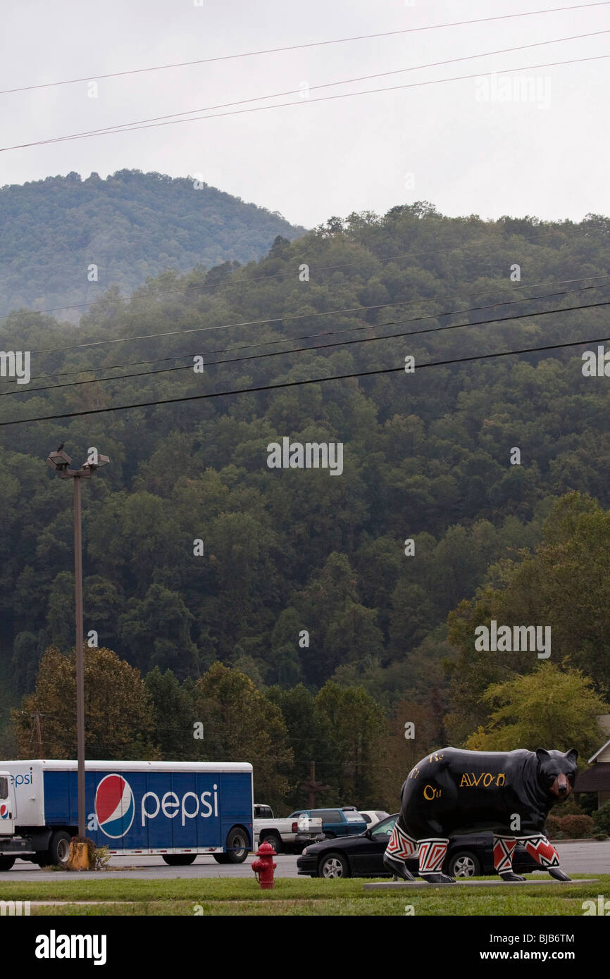 Cherokee native Americans tribe Reservation North Carolina NC ...