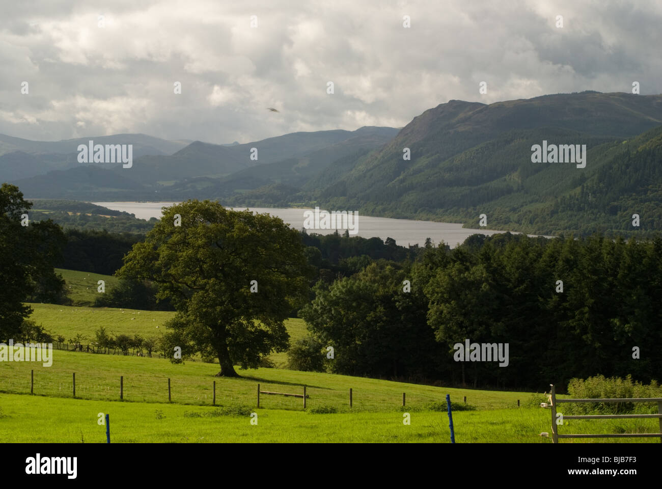 Bassenthwaite lake district hi-res stock photography and images - Alamy