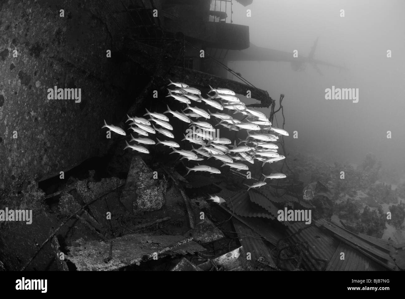 School tragedy Black and White Stock Photos & Images - Alamy