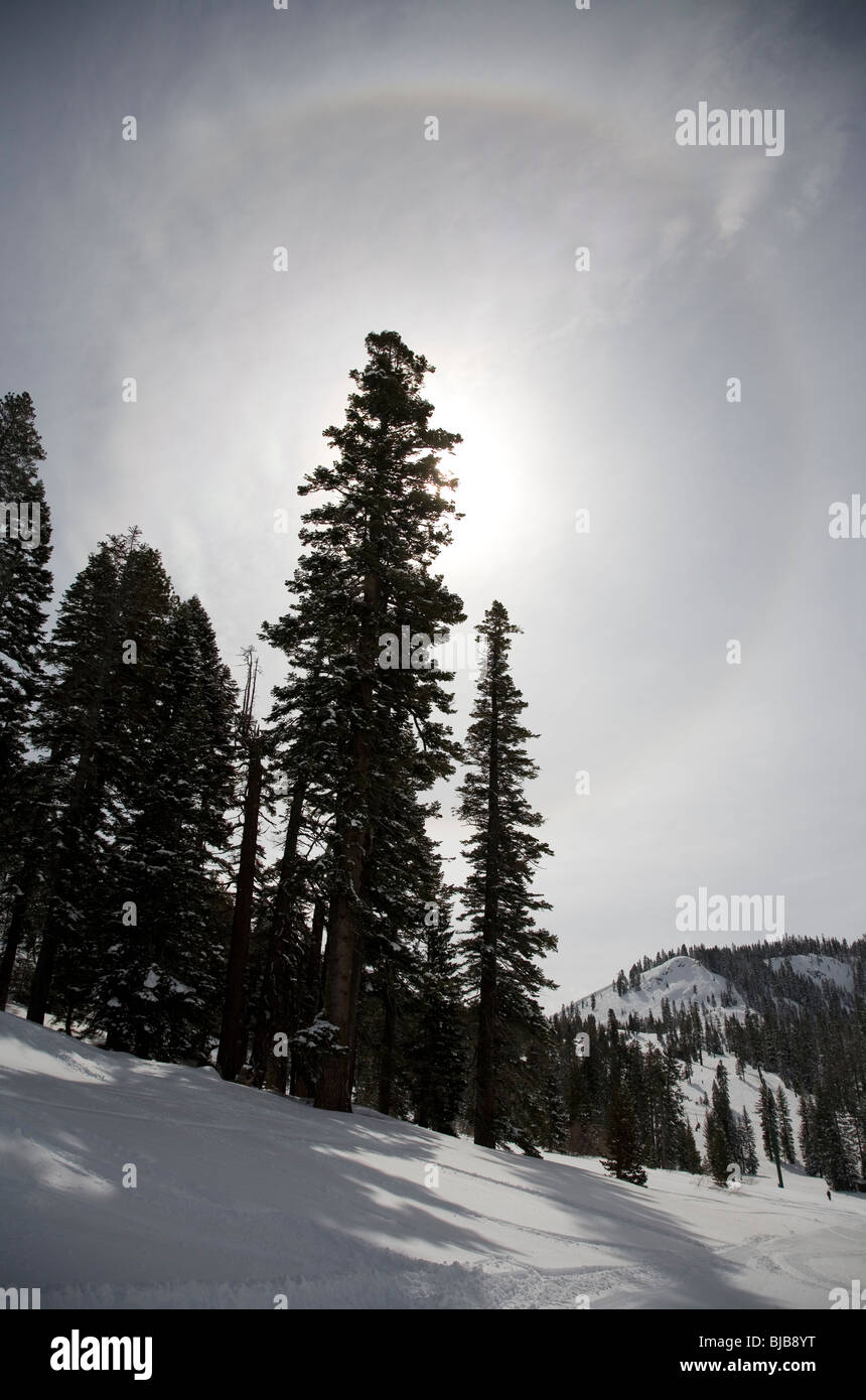 Halo around the sun hi-res stock photography and images - Alamy