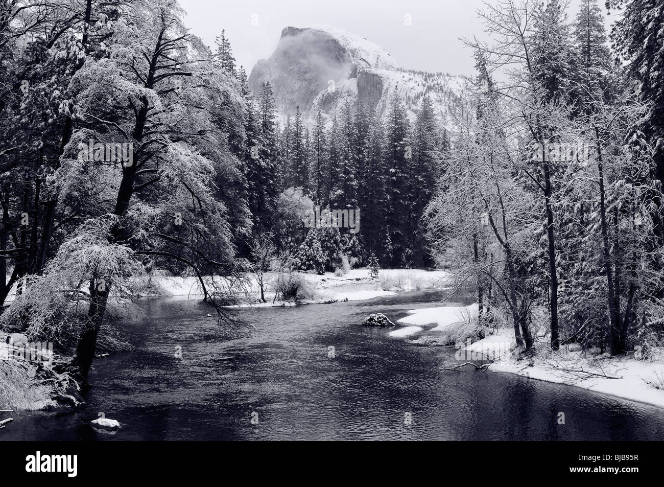 Monochrome of Half Dome with snow covered trees along the Merced River ...