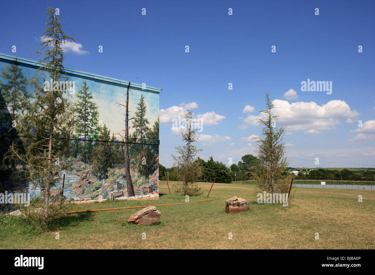 North american walnut trees hi-res stock photography and images - Alamy