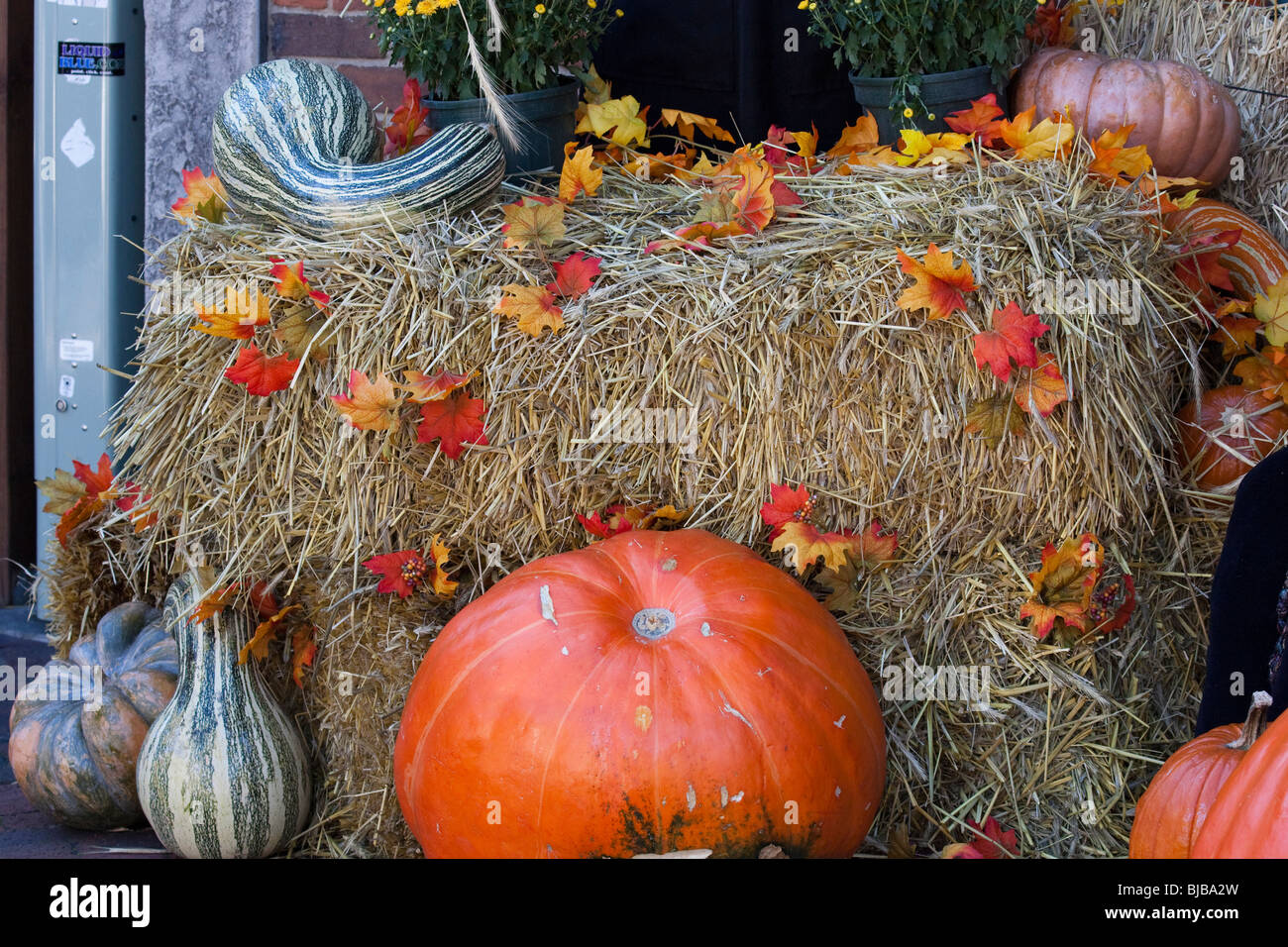 Straw hi res hi-res stock photography and images - Alamy