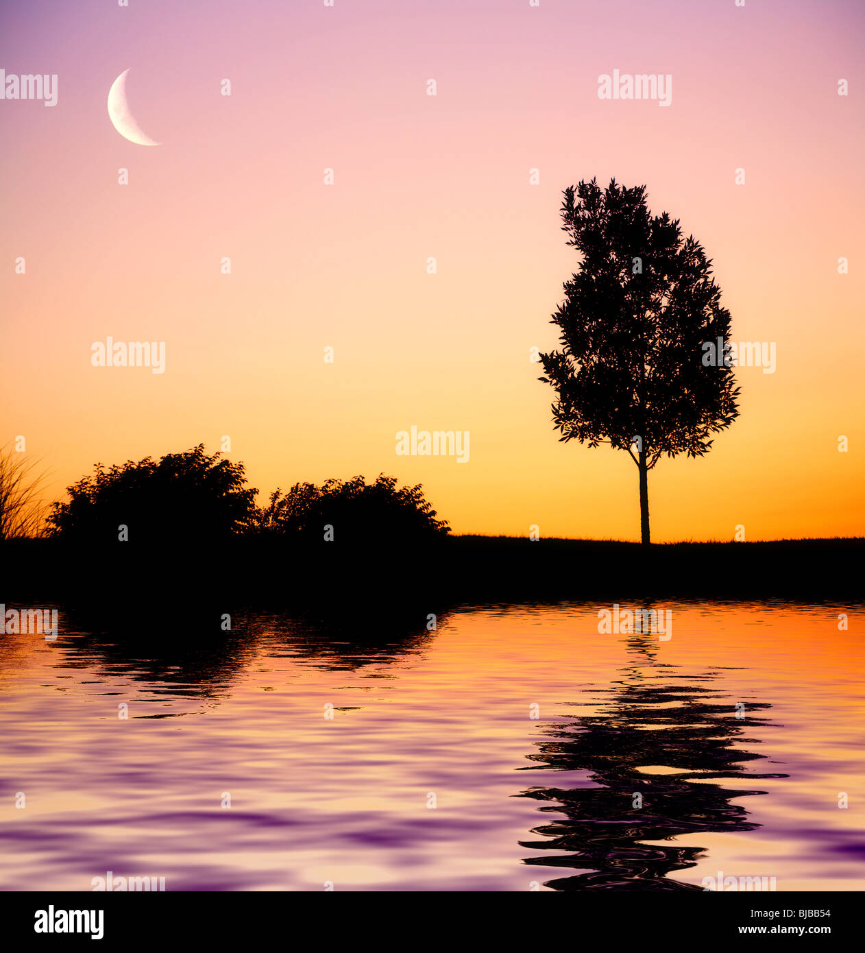 Crescent moon tree silhouette hi-res stock photography and images - Alamy