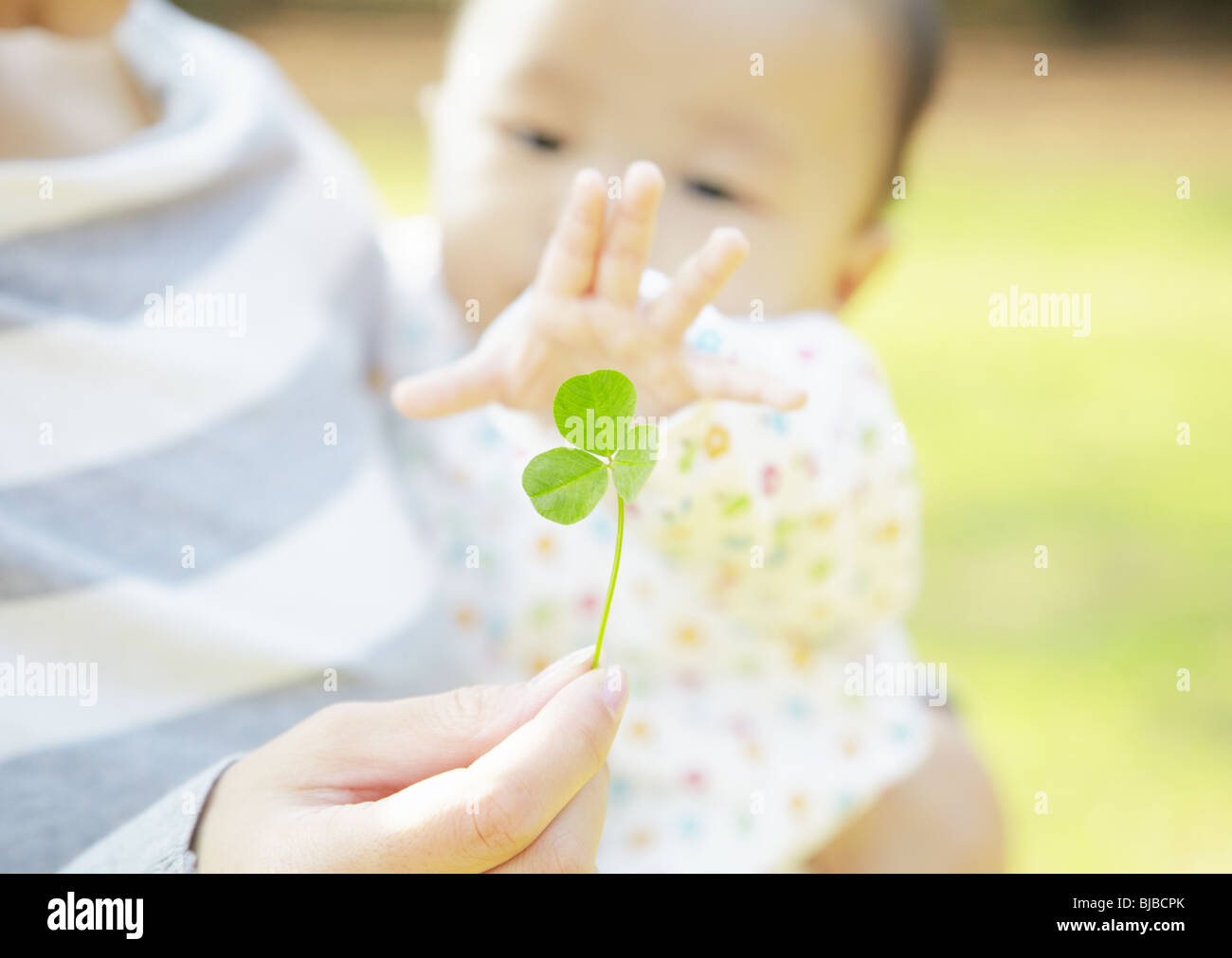 Four-leafed clover and baby Stock Photo - Alamy