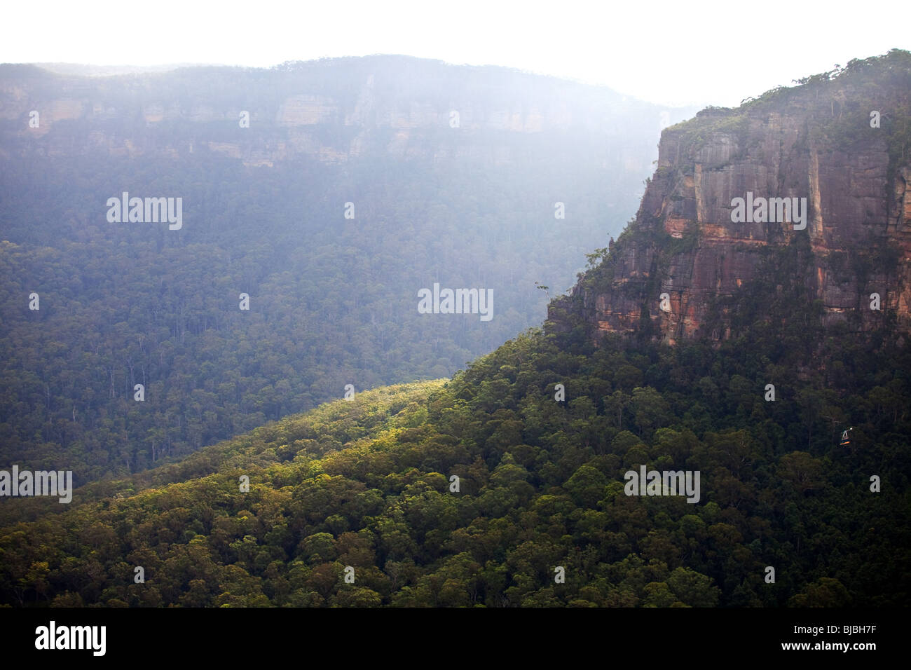 Jamison Valley, Blue Mountains , NSW, Australia Stock Photo - Alamy