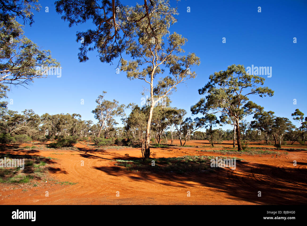 Australian outback landscape near Broken Hill, NSW Australia Stock ...