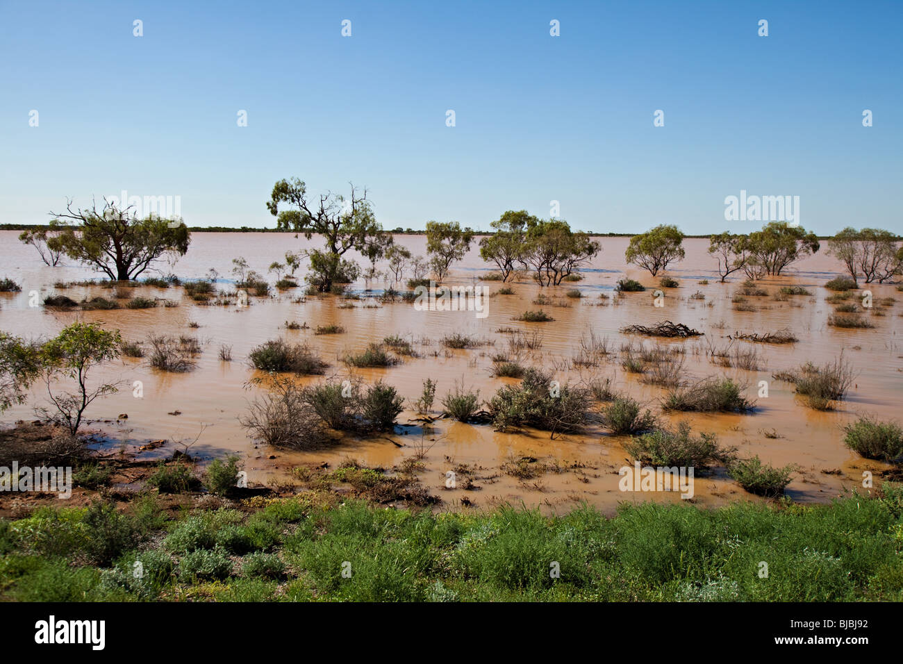 Flooded Australian outback after heavy rain near Wilcannia, NSW ...