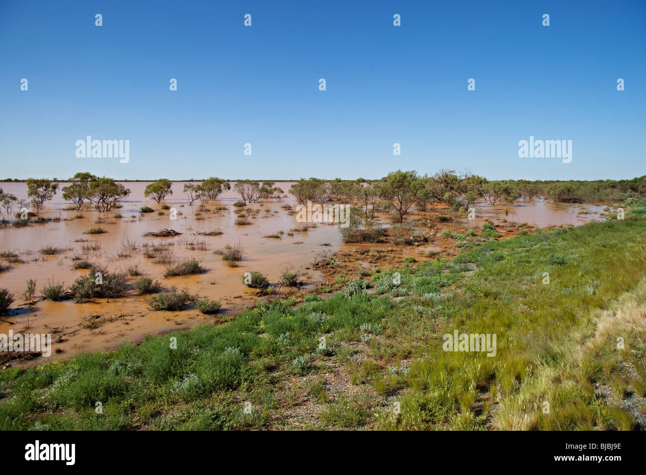 Flooded Australian outback after heavy rain near Wilcannia, NSW ...