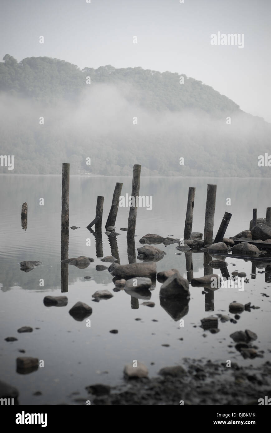 Rotten wooden poles hi-res stock photography and images - Alamy