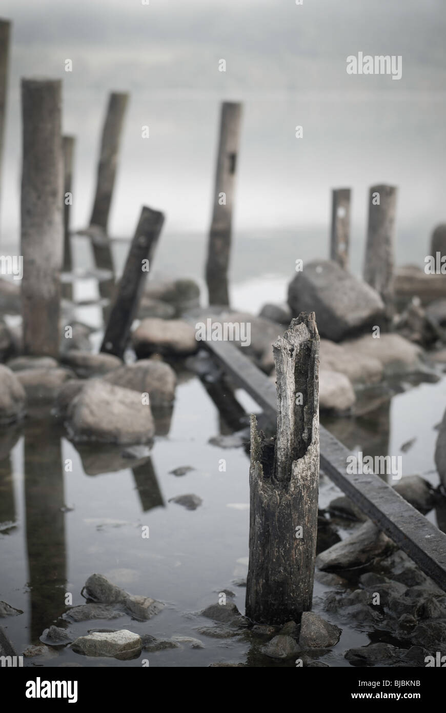 Rotten wooden poles hi-res stock photography and images - Alamy