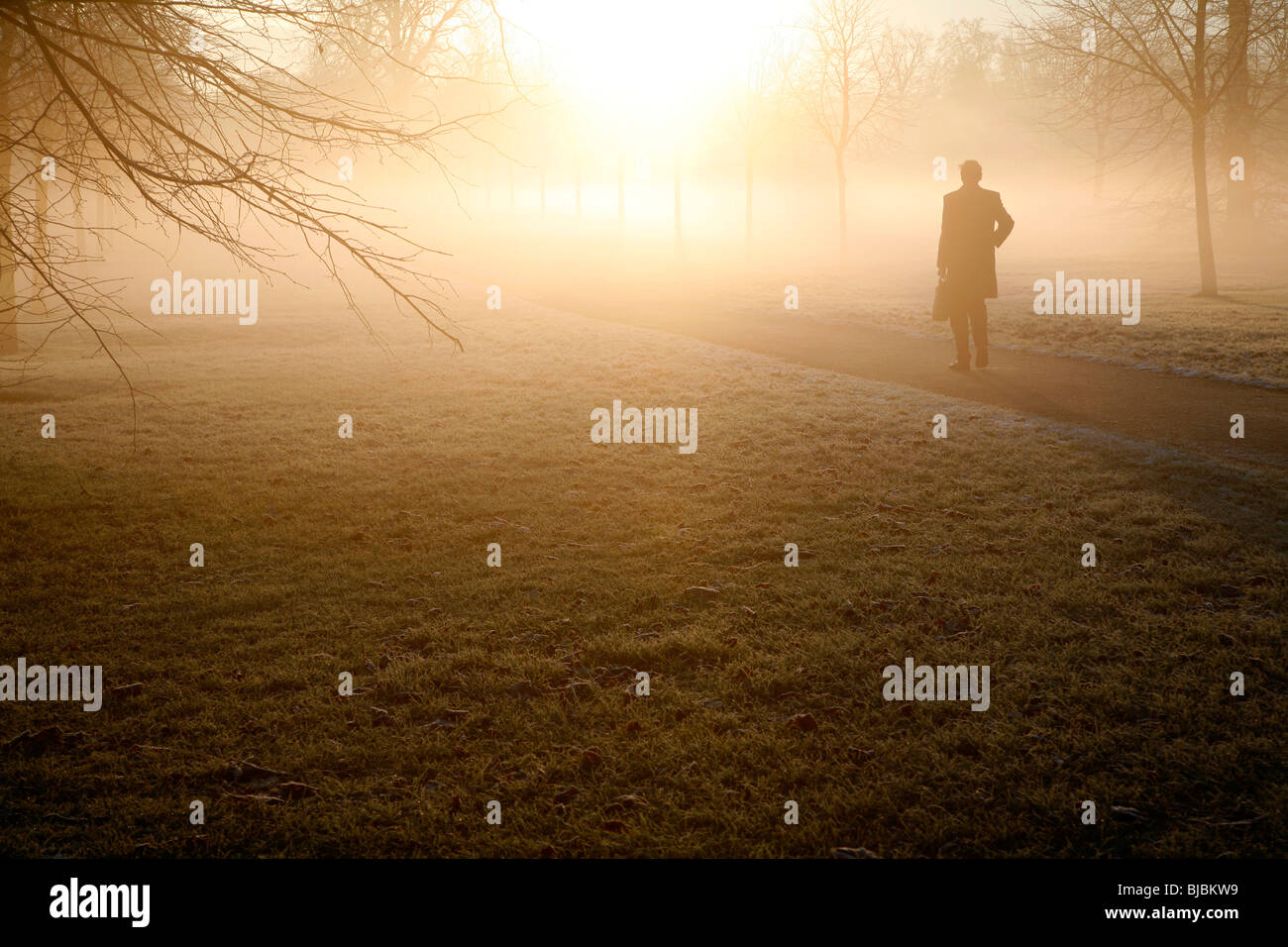 Pedestrian walking through the mist in Kensington Gardens, London, UK ...