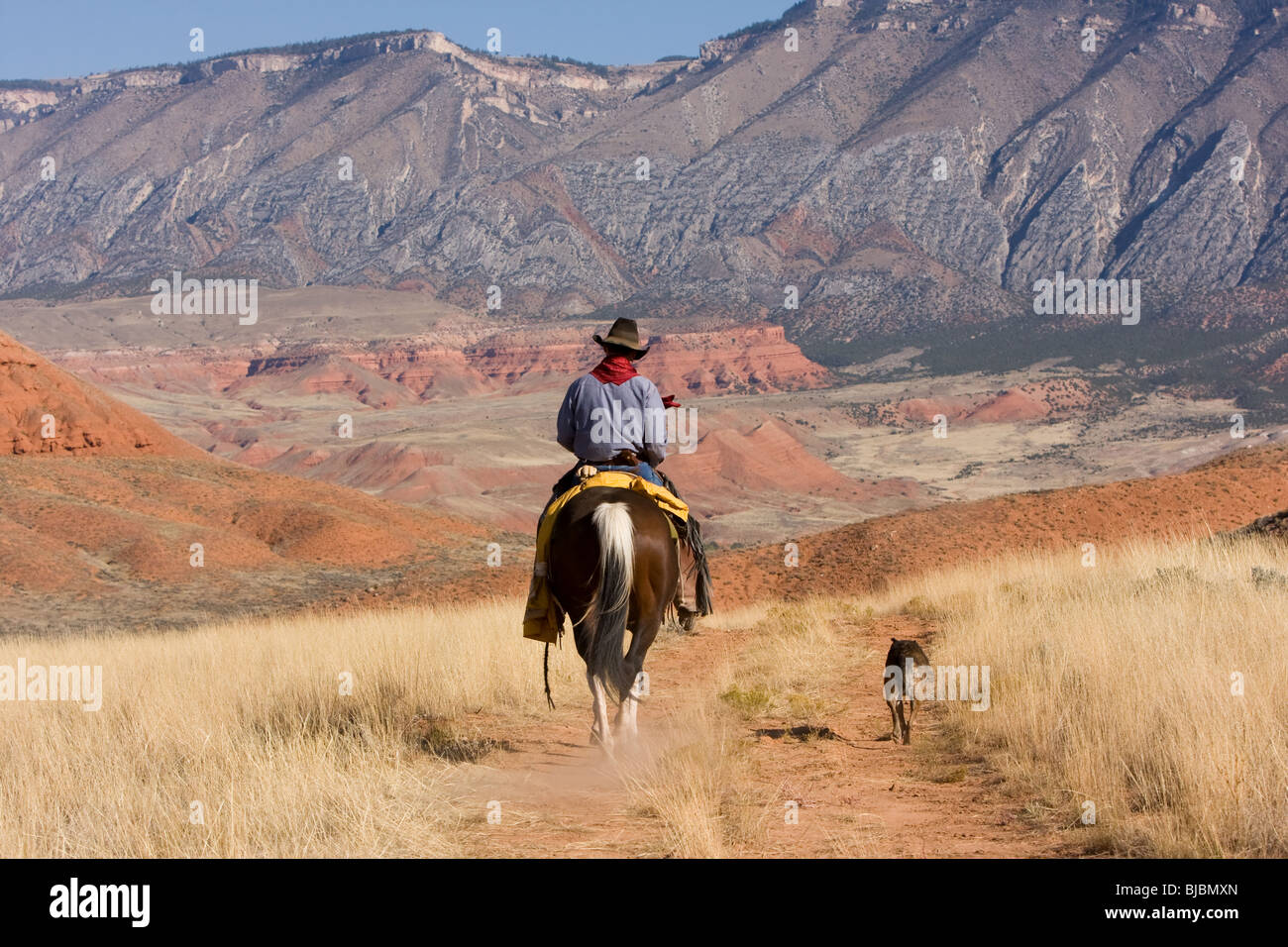 Cowboy and his dog Stock Photo - Alamy