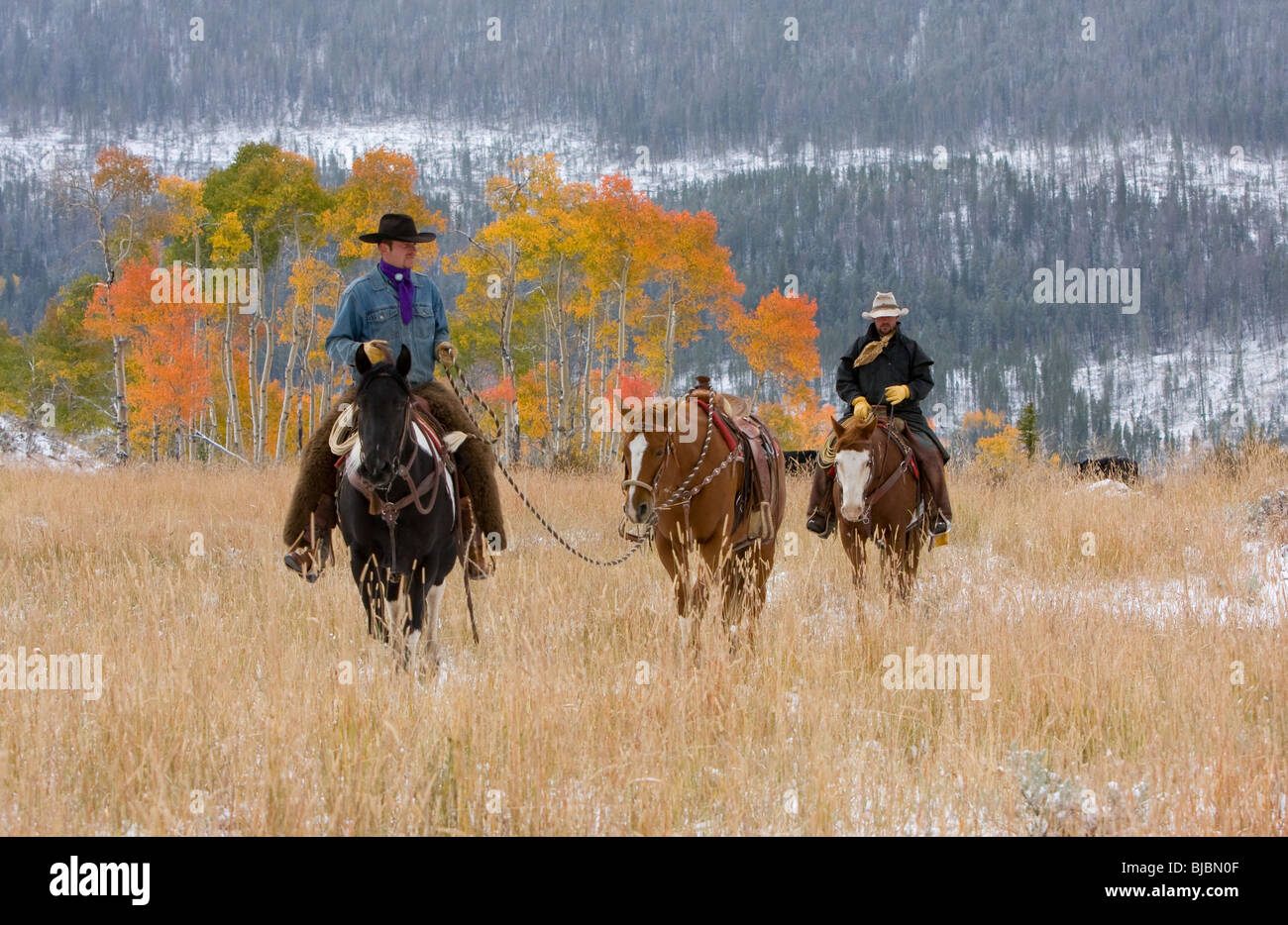 Cowboys riding the range hi-res stock photography and images - Alamy