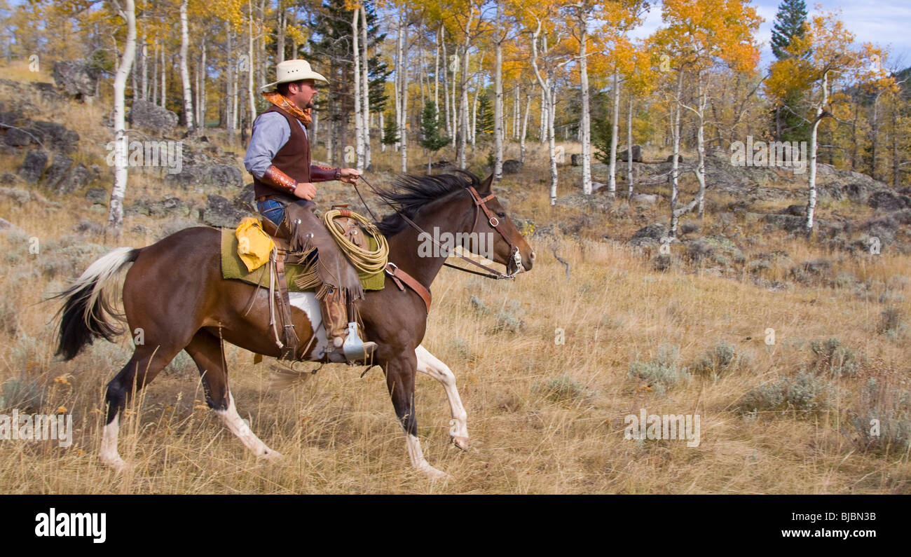 Horse riding woods hi-res stock photography and images - Alamy