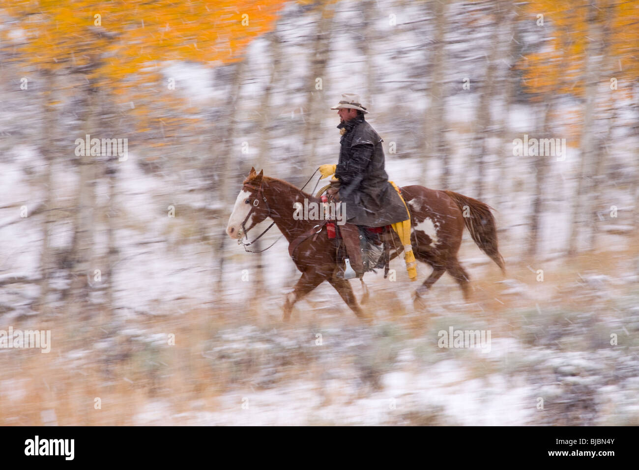 Riding horse in storm hi-res stock photography and images - Alamy