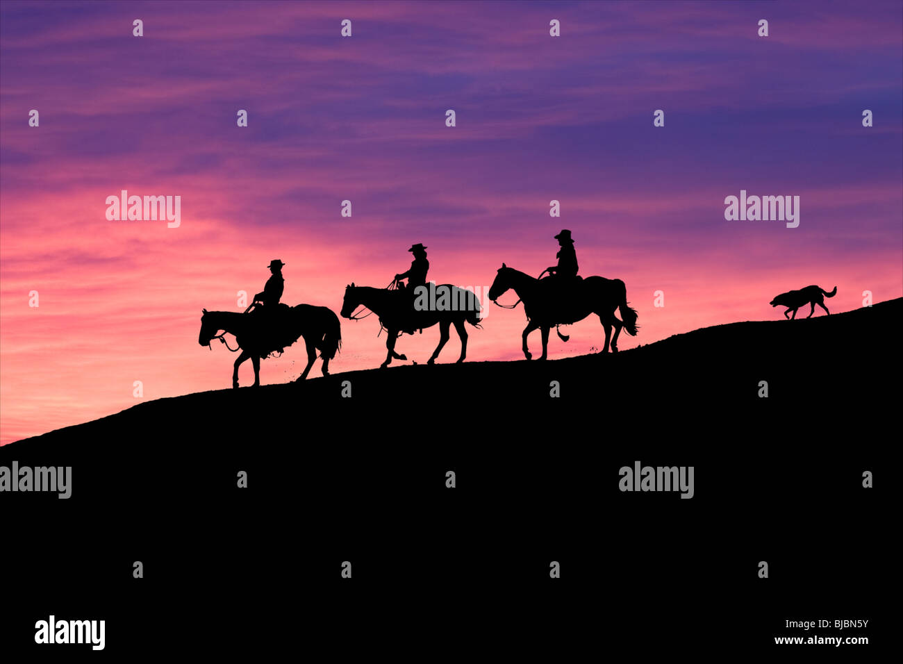 Silhouette of three cowboys riding horses followed by dog at sunset ...