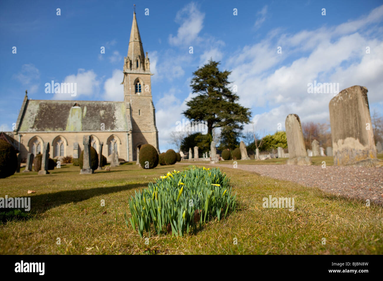 Spring daffodils at a rural country church at Gavinton, Scottish ...