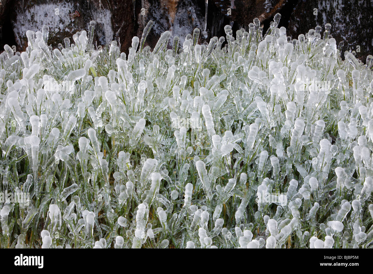 Sudden drop in temperature hi-res stock photography and images - Alamy