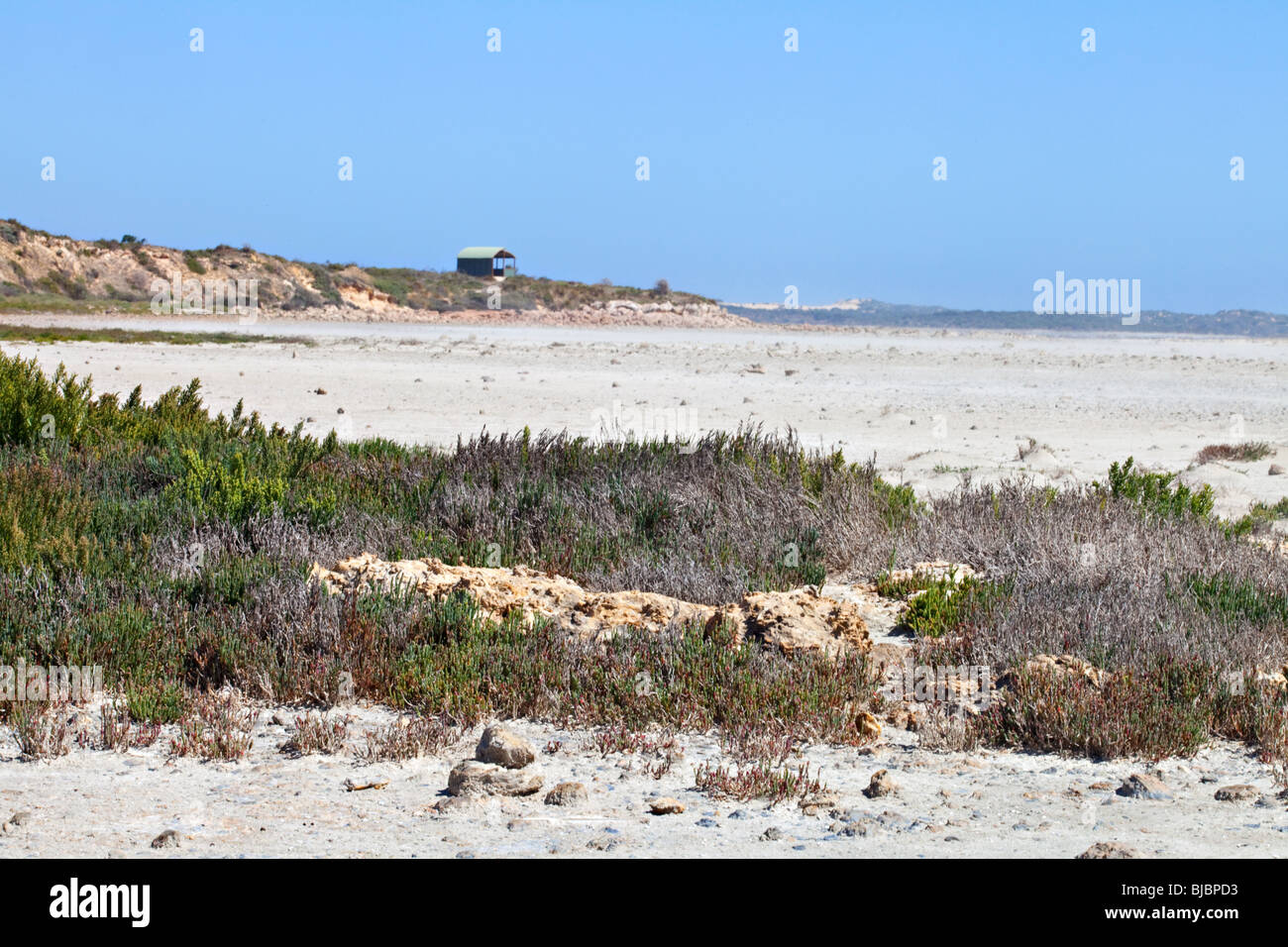 Coorong national park hi-res stock photography and images - Alamy