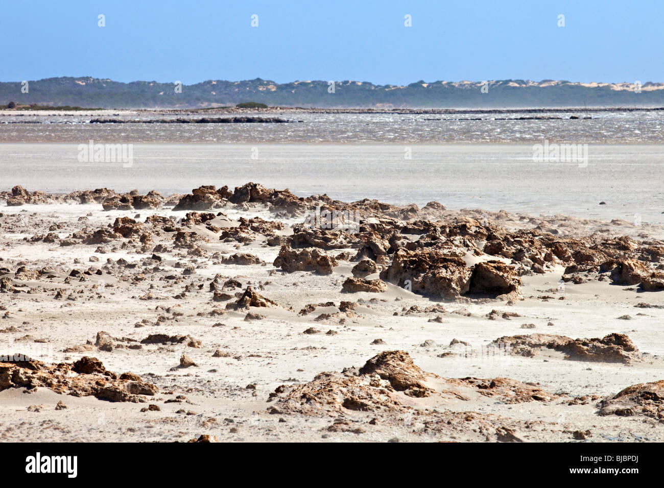 Coorong australia hi-res stock photography and images - Alamy