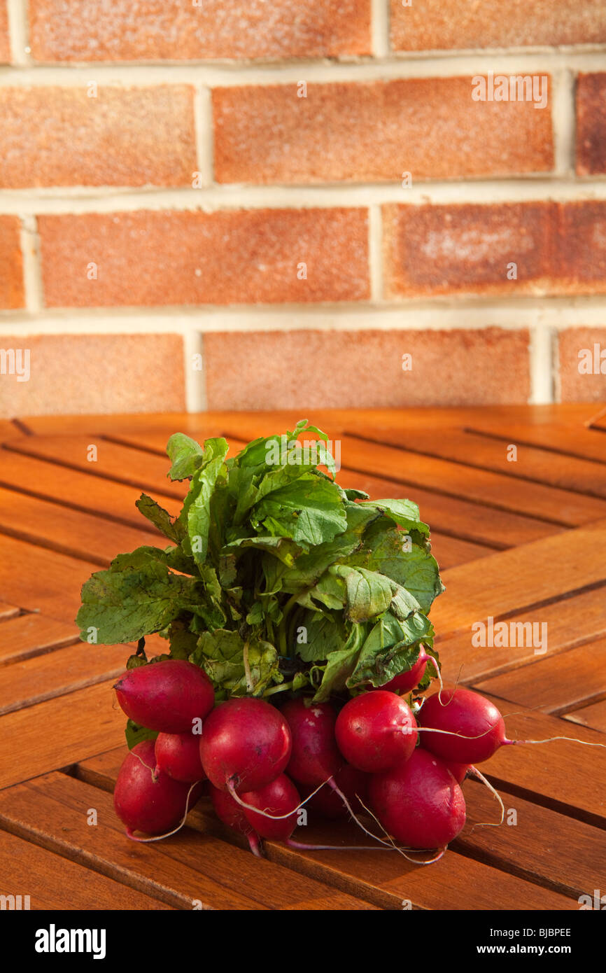 Bunch of radishes hi-res stock photography and images - Alamy
