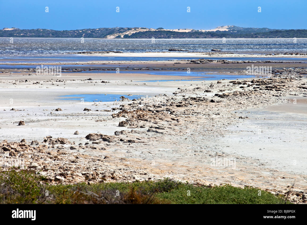 Coorong australia hi-res stock photography and images - Alamy