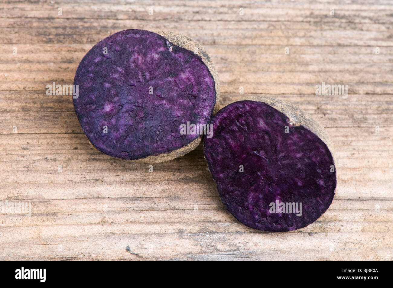 Vitelotte seed potato, a blue skinned main crop heritage potato, cut in ...