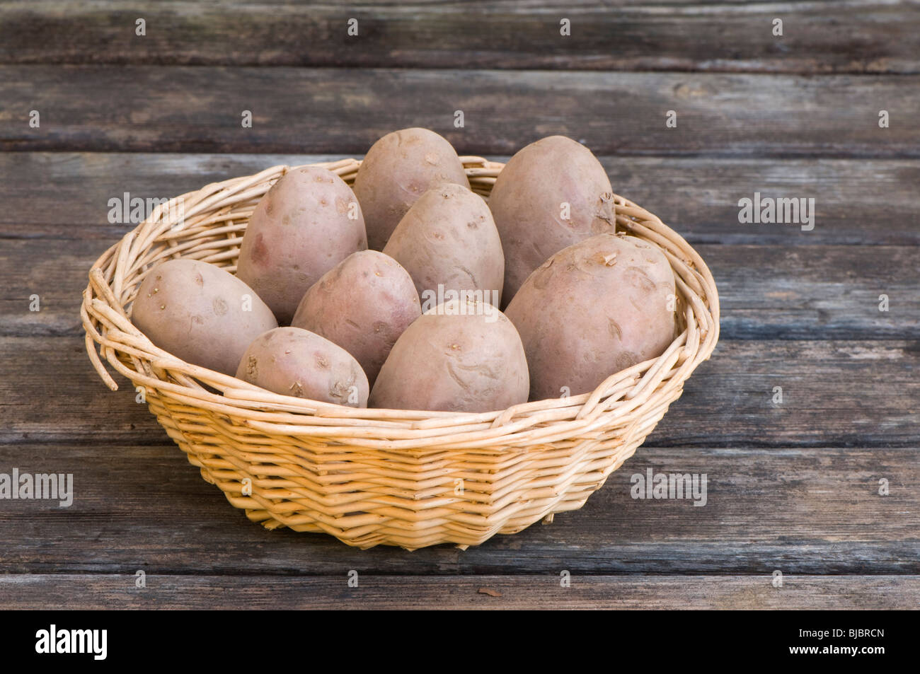 Seed blight hi-res stock photography and images - Alamy