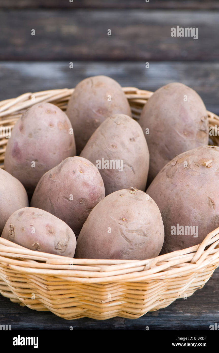 Axona hi-res stock photography and images - Alamy