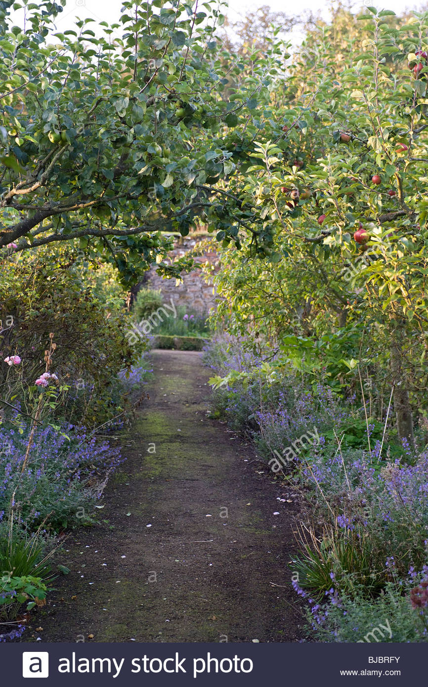 Flowering Fruit Trees Stock Photos & Flowering Fruit Trees Stock Images ...