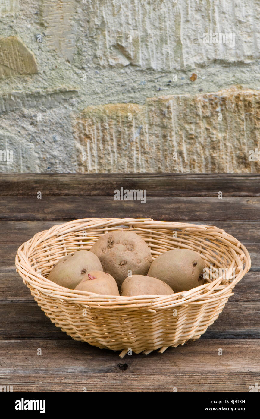 Foremost potato hi-res stock photography and images - Alamy
