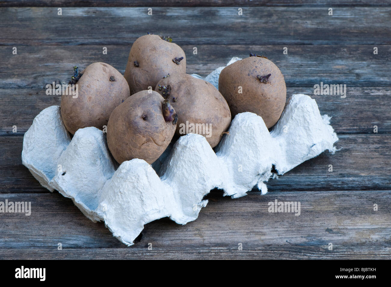 Edzell blue potatoes hi-res stock photography and images - Alamy