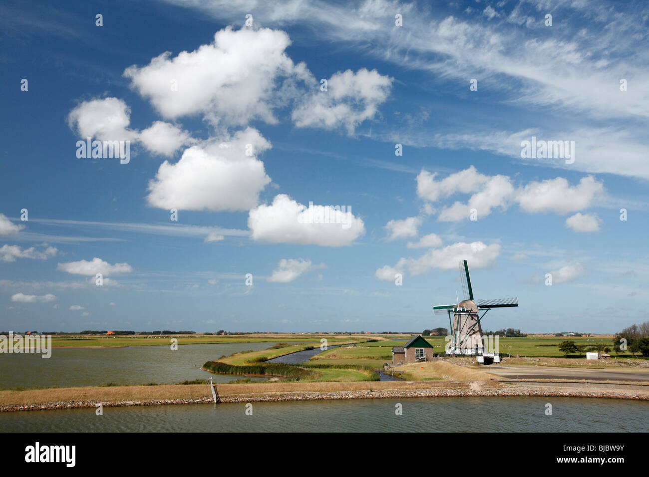 Moll hi-res stock photography and images - Alamy