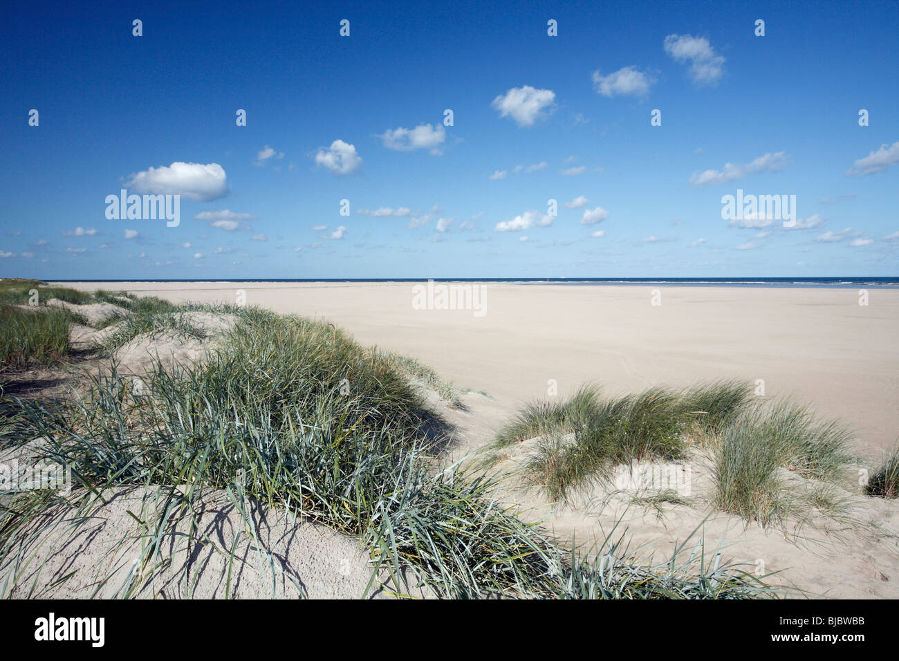 Sand dunes deserted beach hi-res stock photography and images - Alamy
